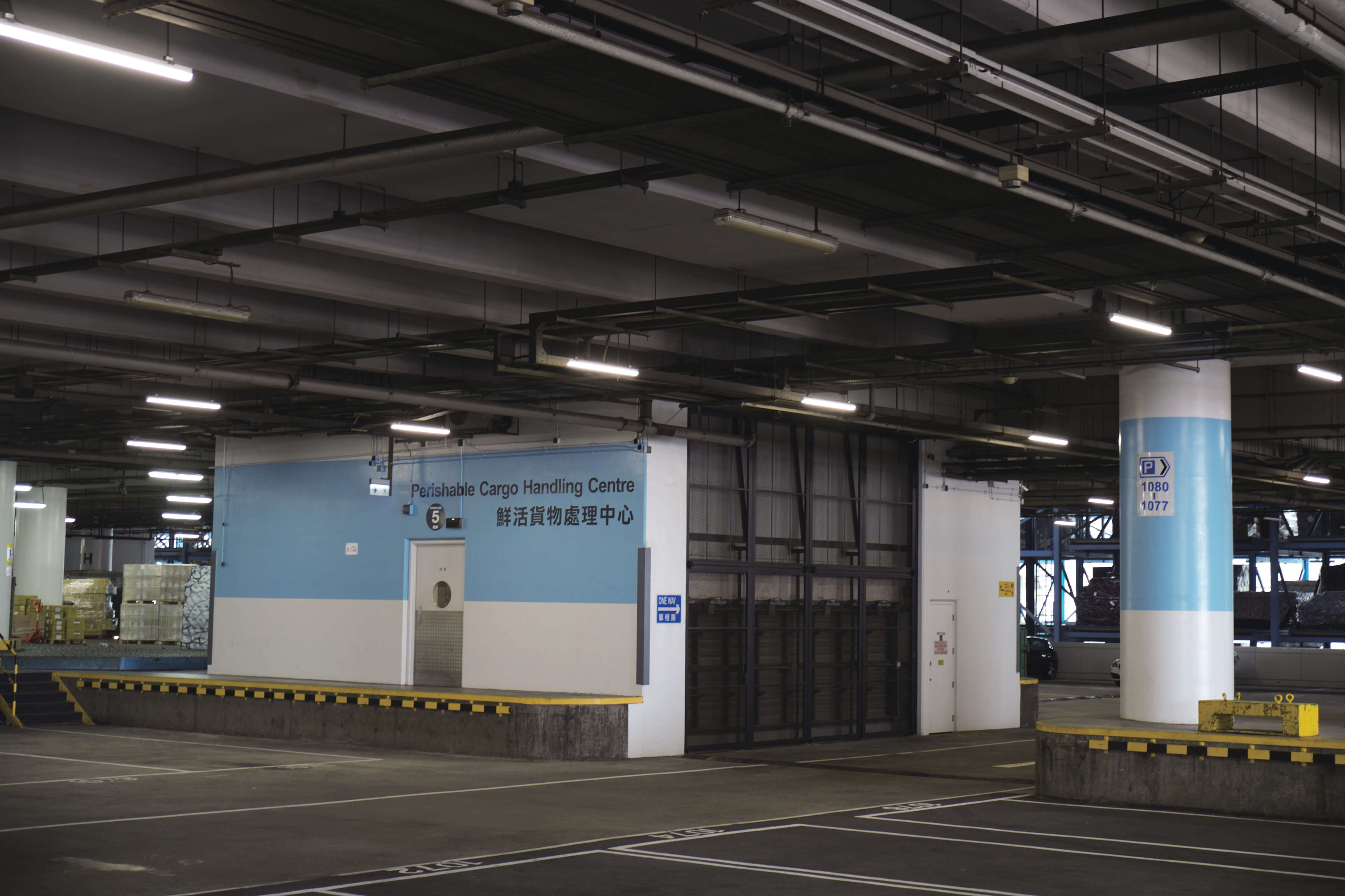 In the zone: How Hactl gives special cargo the treatment it needs - Hactl