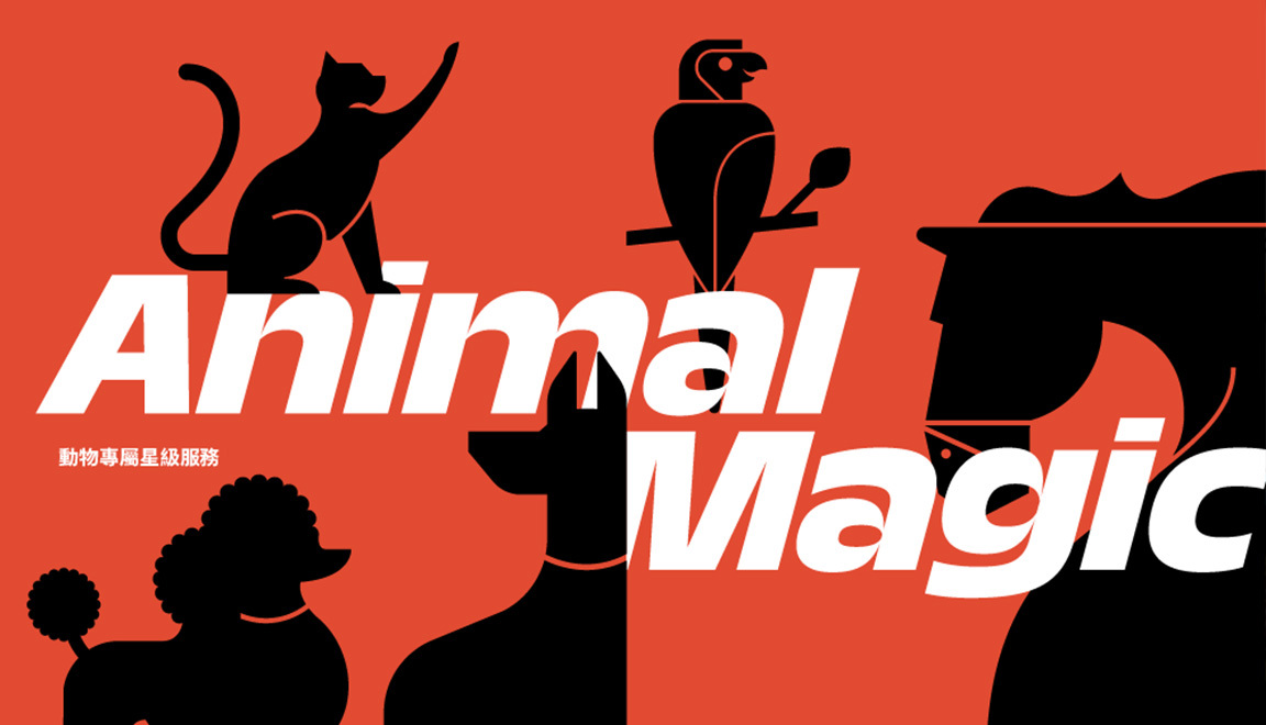 Animal magic - Hactl