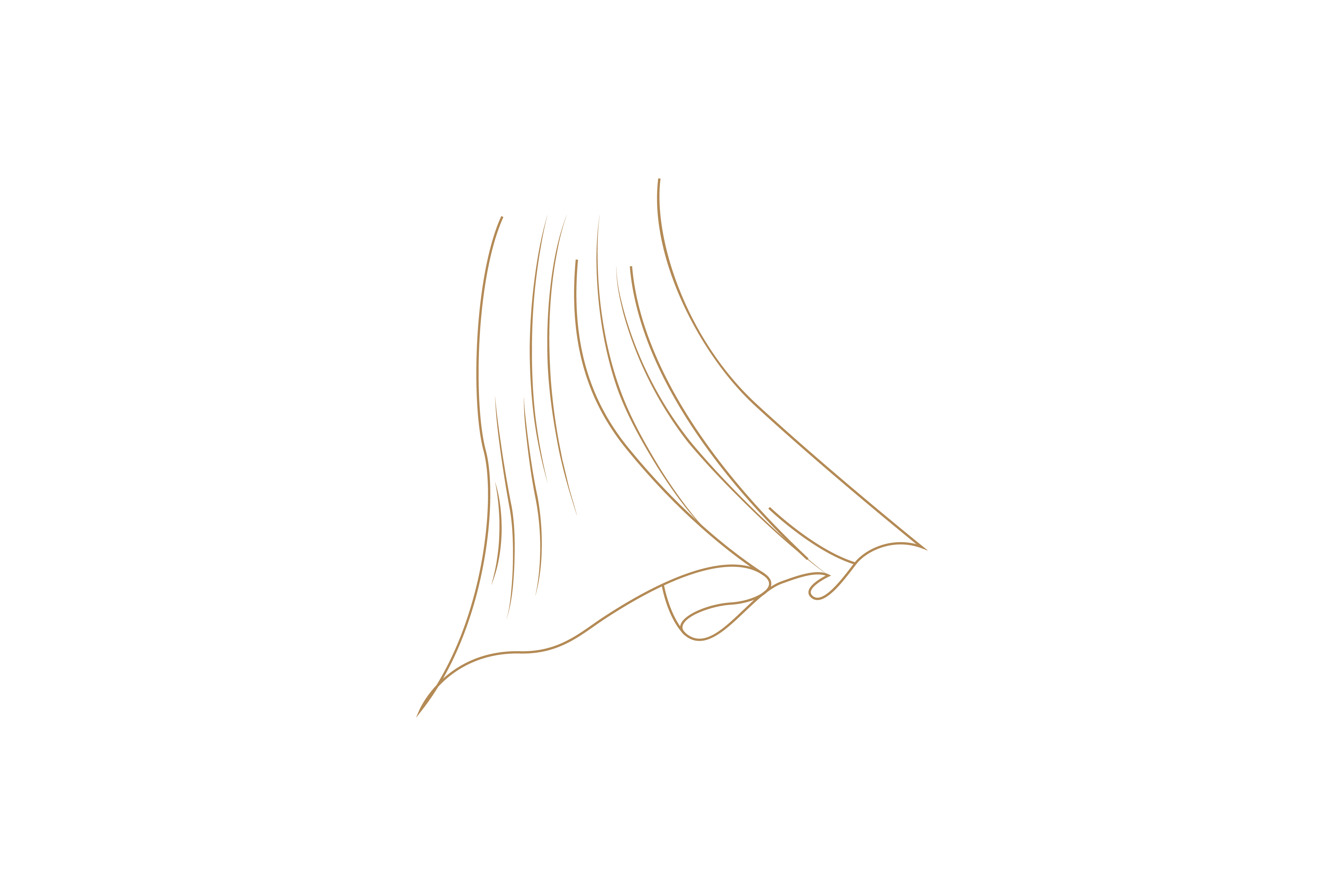 Hong Kong's paper crafting technique - Hactl