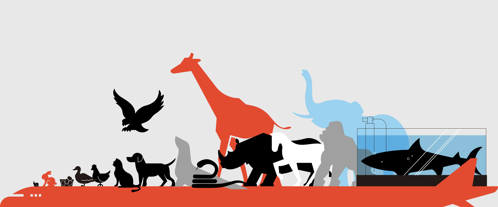 Animal magic - Hactl