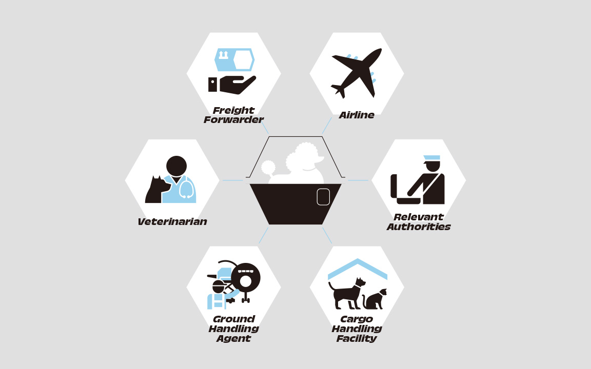 Animal magic - Hactl