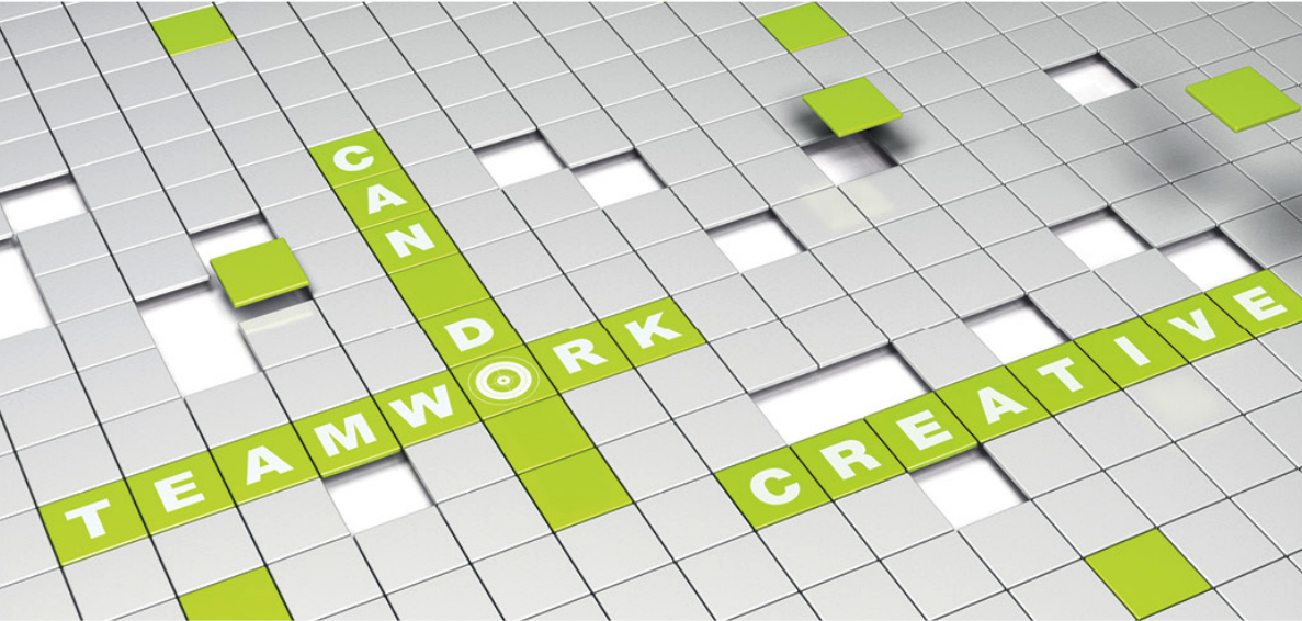 Our service stars in the spotlight - Hactl