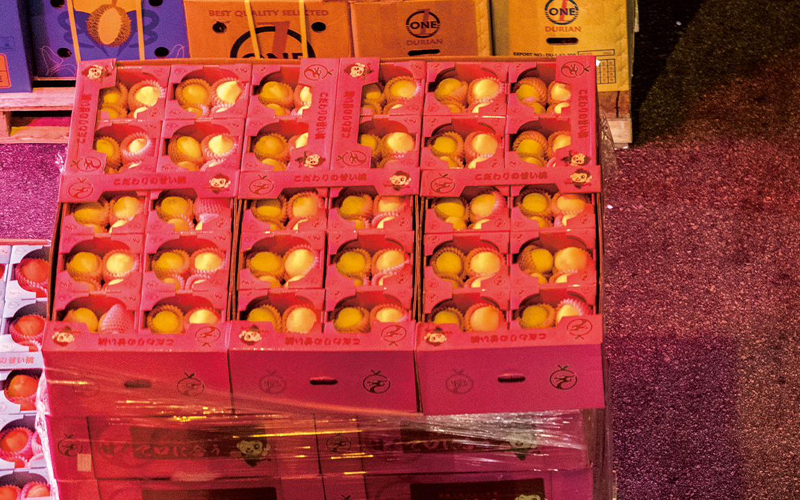 Flying Fruit - Hactl