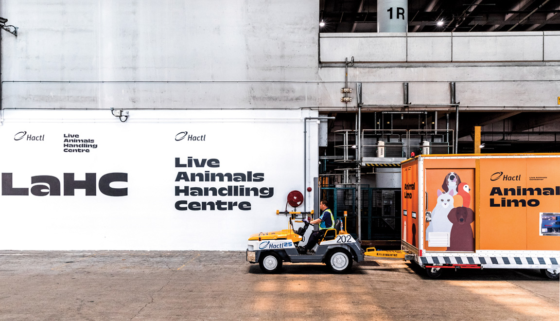 “Animal Limo” ups comfort and cuts stress - Hactl