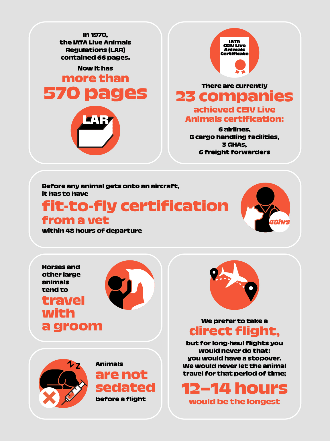 Animal magic - Hactl