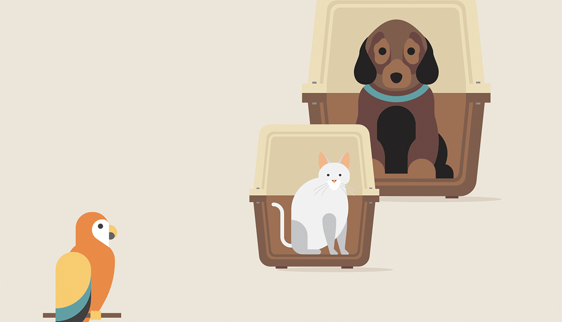 CEIV full house for Hactl - Hactl