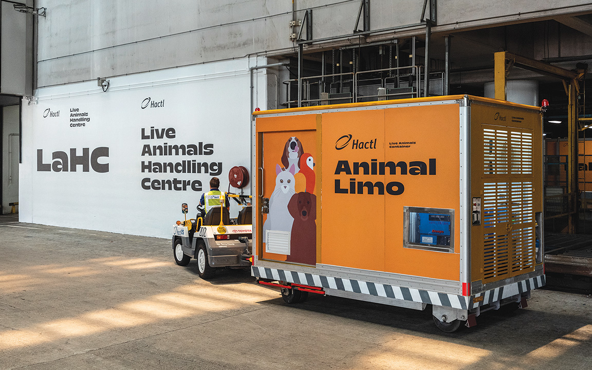 “Animal Limo” ups comfort and cuts stress - Hactl