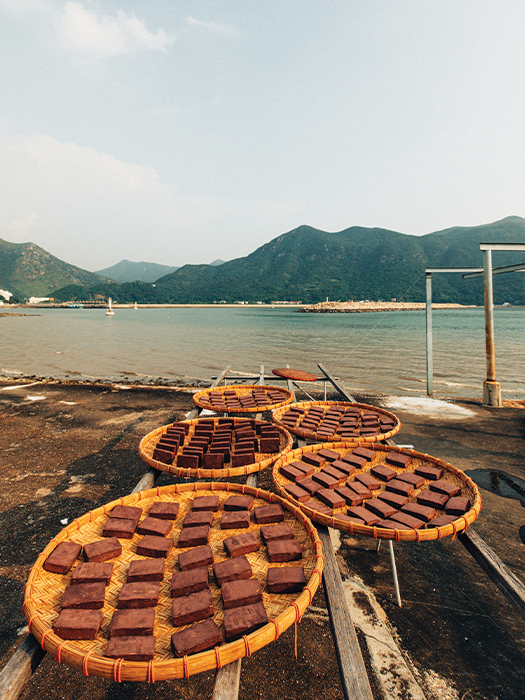 Tai O: Tales from an urban fishing village - Hactl